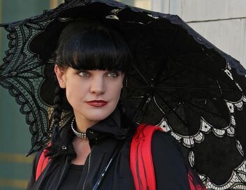 NCIS - 17-02-25 11:02 - Voir le Replay